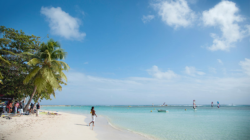 Södra Karibien - MSC Cruises